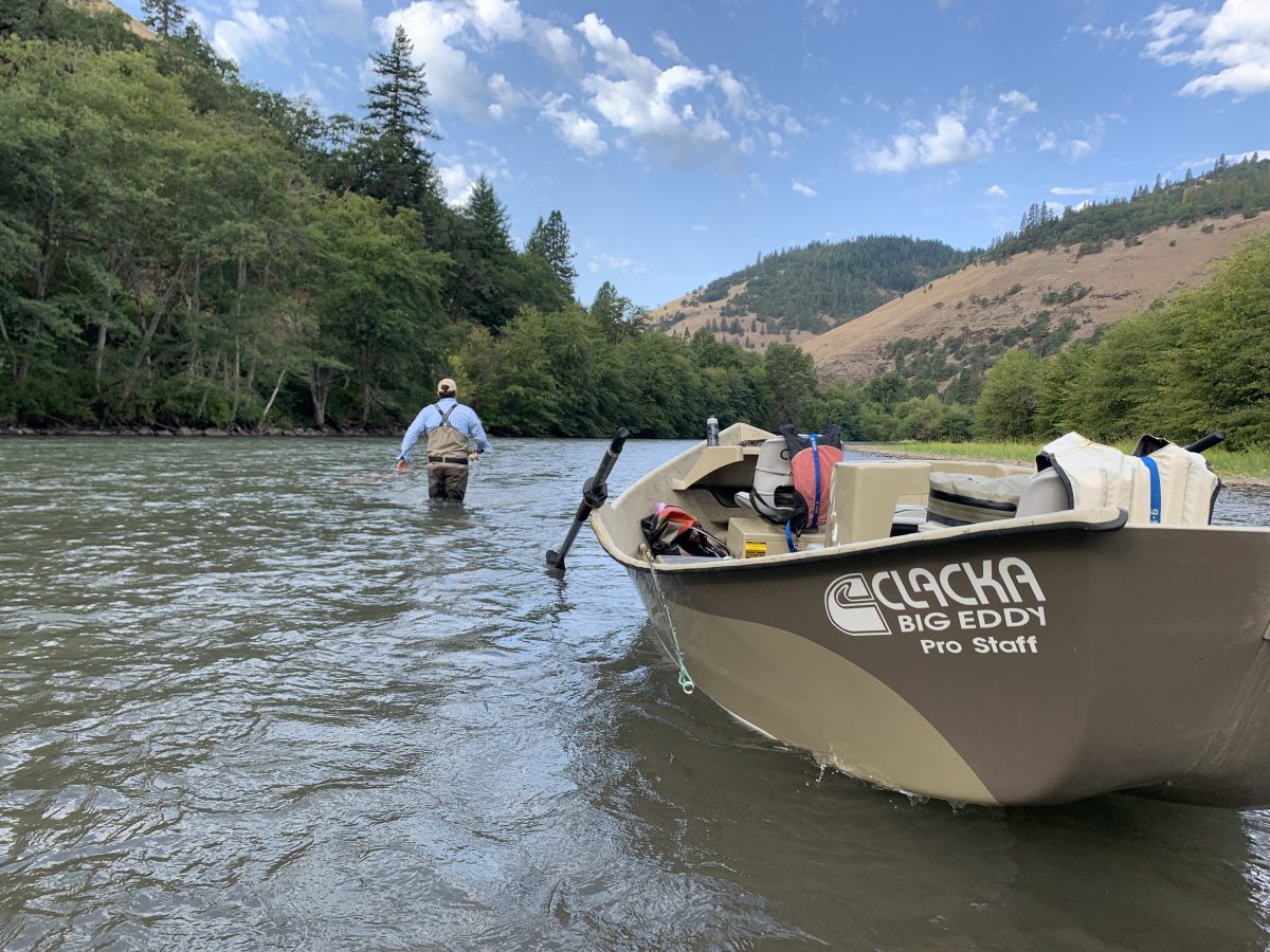 02E96448-FEFB-4E07-828F-DEF11C05810C - The Evening Hatch