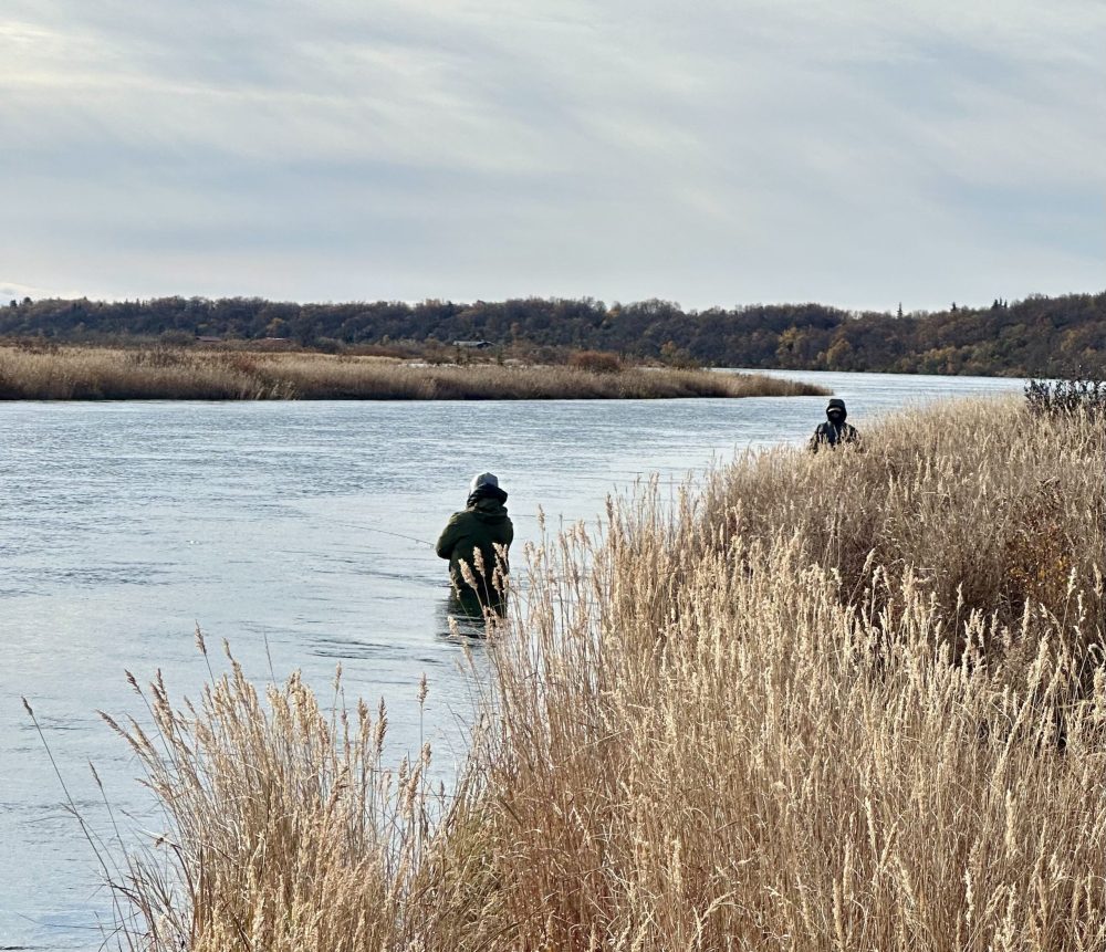 Swingtastic - The Evening Hatch