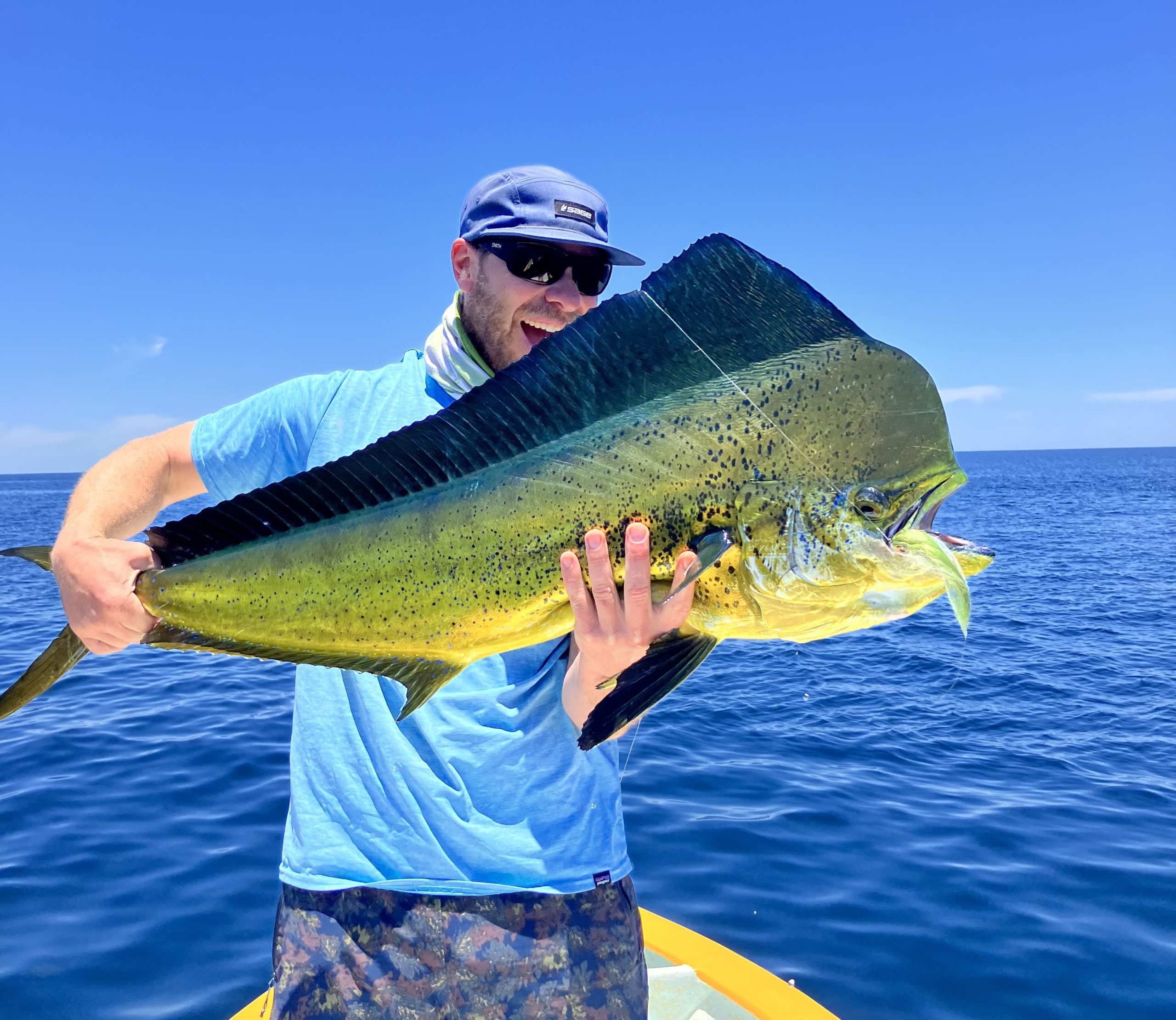 Baja - The Evening Hatch