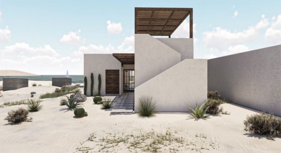 Baja - The Evening Hatch