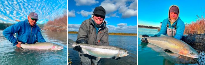 View recent photos - The Evening Hatch