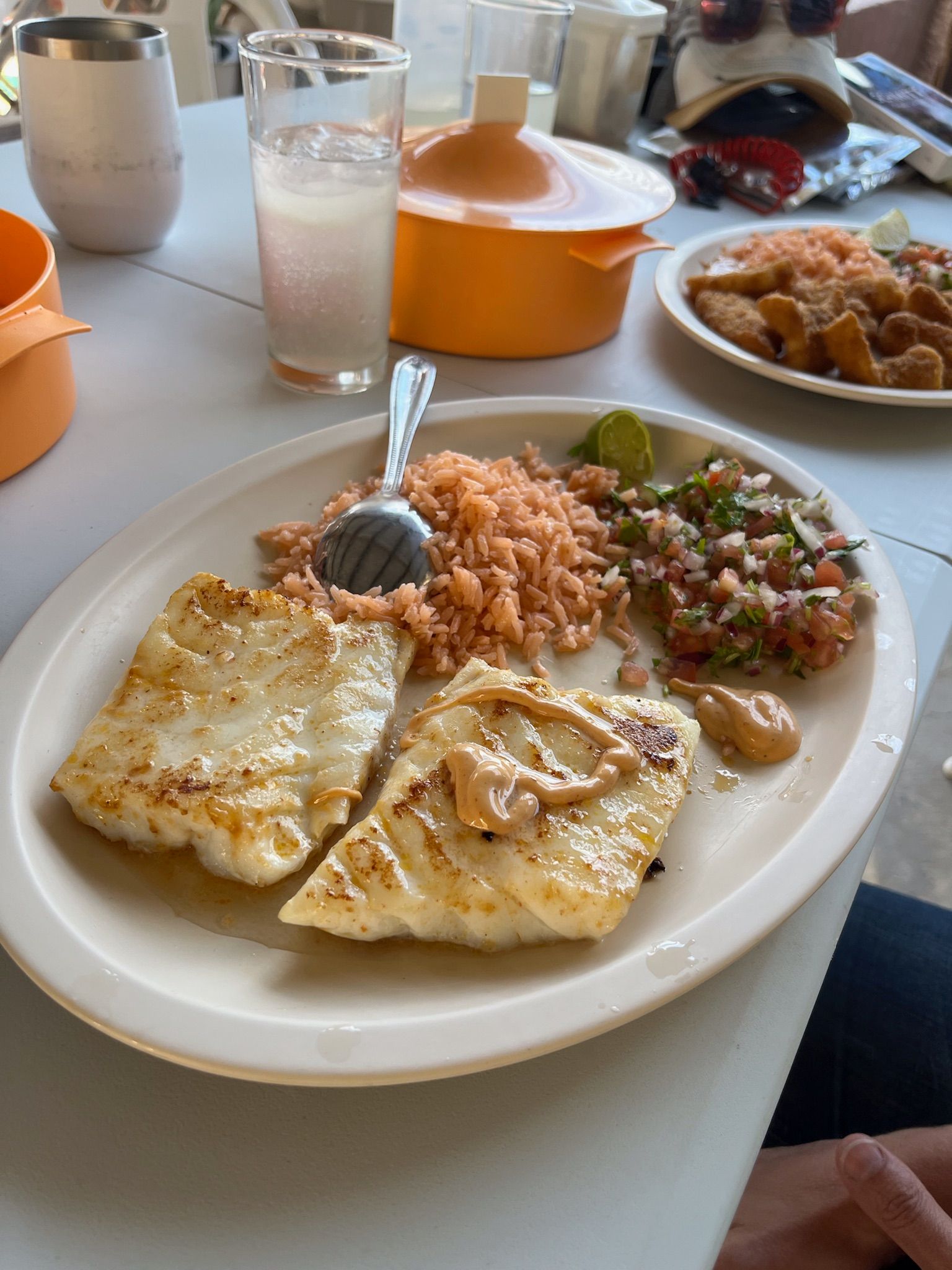 Baja - The Evening Hatch