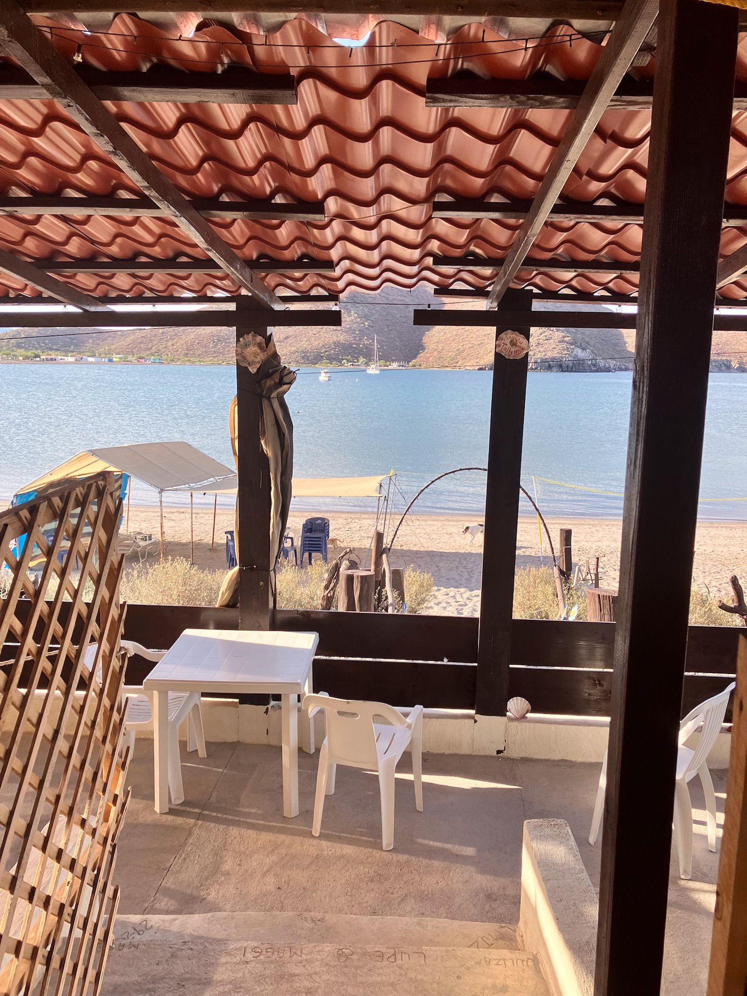 ho1 - The Evening Hatch