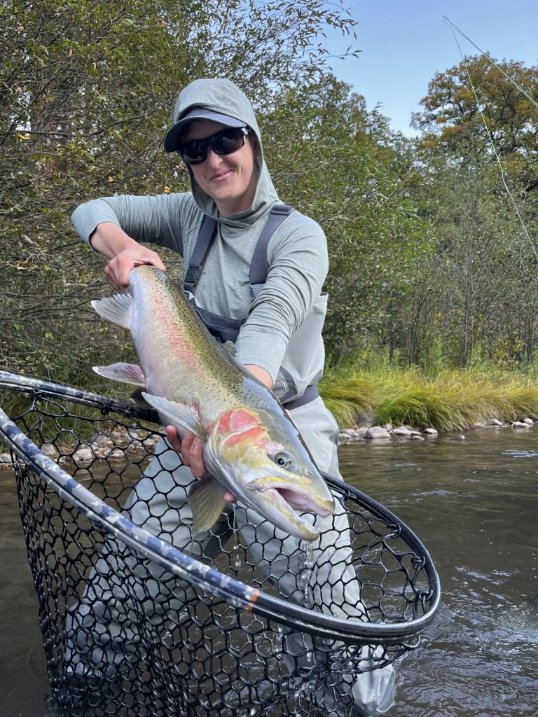 bri - The Evening Hatch