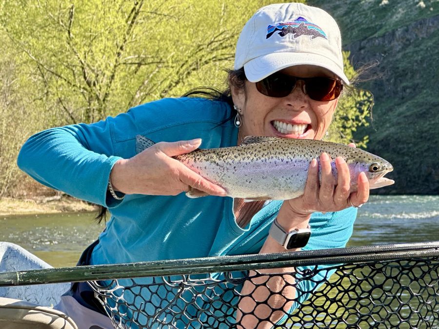 CC - The Evening Hatch